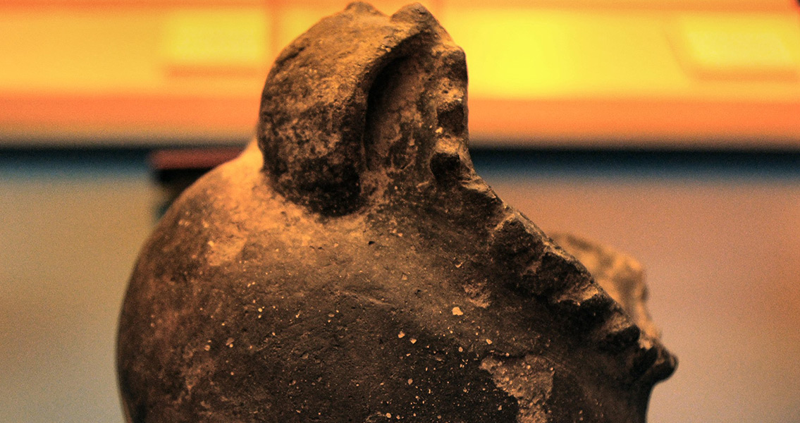 Evidence of Oldest Known Human Ancestor Discovered